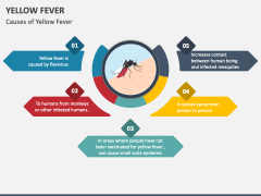 Yellow Fever PowerPoint and Google Slides Template - PPT Slides