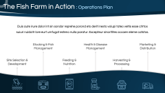 Fish Farming Business Plan PowerPoint and Google Slides Template - PPT ...