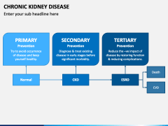 Chronic Kidney Disease PowerPoint and Google Slides Template - PPT Slides