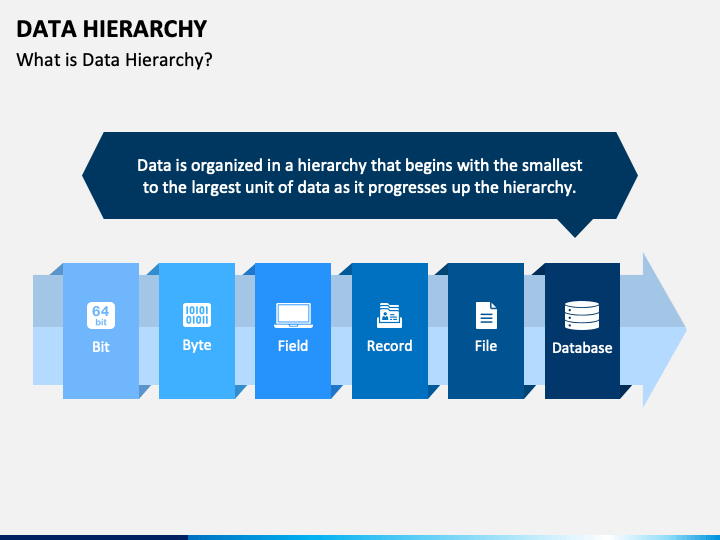 Data Hierarchy PowerPoint and Google Slides Template - PPT Slides