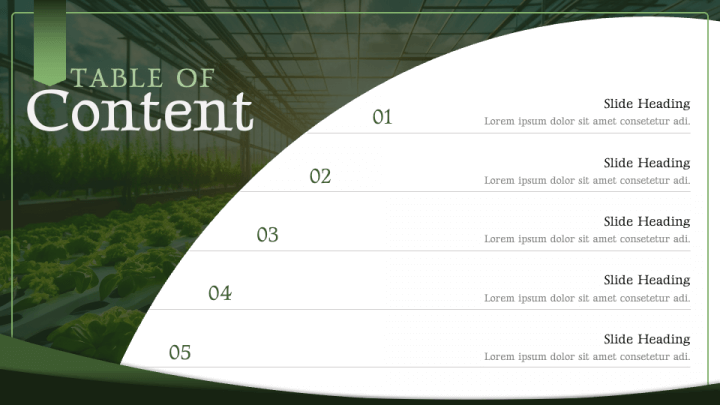 Hydroponic Farming Business Plan PowerPoint and Google Slides Template