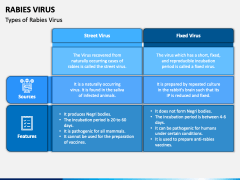Rabies Virus PowerPoint and Google Slides Template - PPT Slides