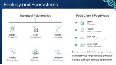 Free - Advanced Biology for High School Presentation for PowerPoint and ...