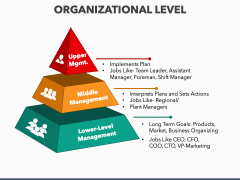 Organizational Level PowerPoint and Google Slides Template - PPT Slides