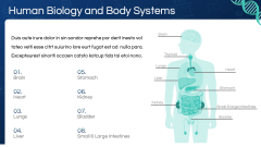 Free - Advanced Biology for High School Presentation for PowerPoint and ...