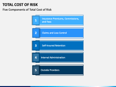 Total Cost of Risk PowerPoint and Google Slides Template - PPT Slides